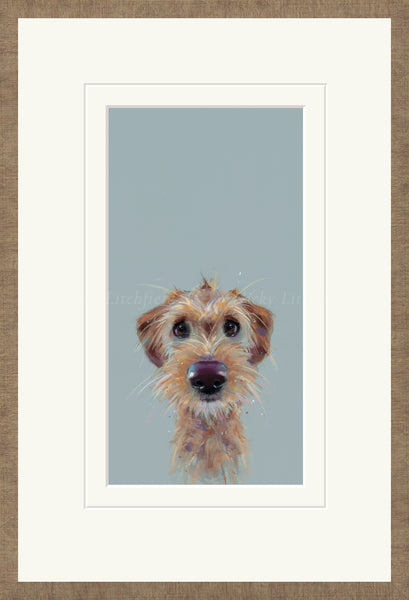 Buy Scruff by Nicky Litchfield at Treeby & Bolton